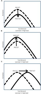 Frontiers | Changes in Neural Activity Underlying Working Memory after Computerized Cognitive ...